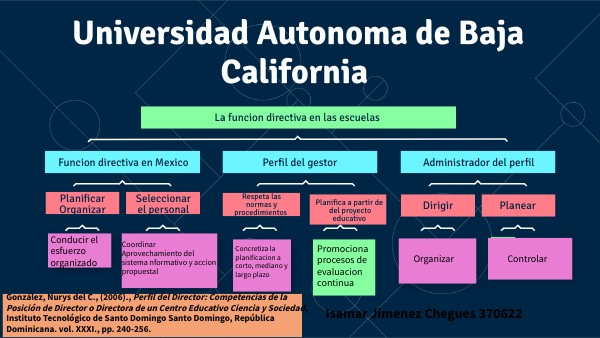 MAPA CONCEPTUAL UNIVERSIDAD