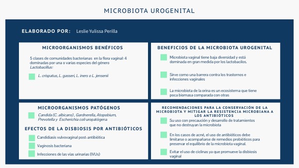Microbiota Urogenital | Genially