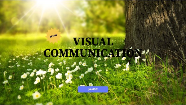 VISUAL COMMUNICATION
