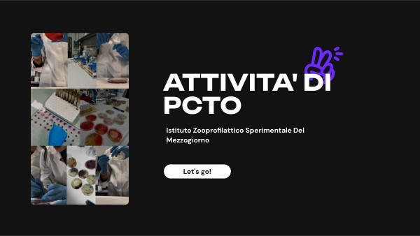 PCTO MOLINARO | Genially