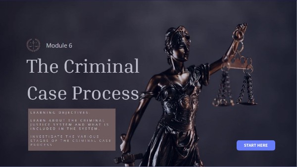 The Criminal Case Process