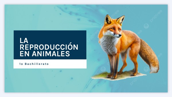 7. REPRODUCCIÓN EN ANIMALES | Genially