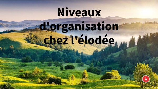 BASIC DOSSIER | Genially