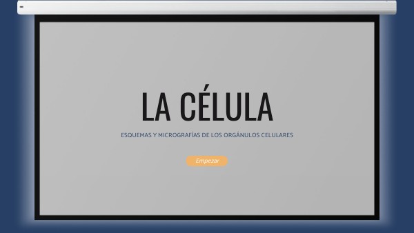 IMÁGENES ORGÁNULOS CELULARES | Genially