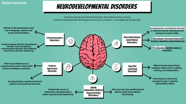MAPA MENTAL Neurodevelopmental Disorders
