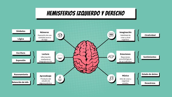 Hemisferios cerebrales, izquierdo y derecho