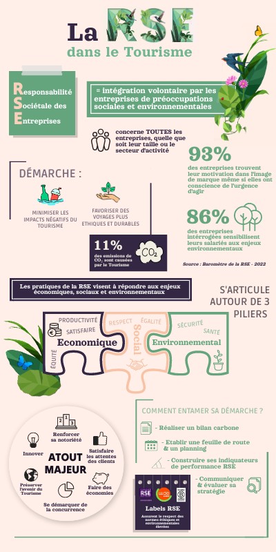 INFOGRAPHIE RSE N°2 | Genially