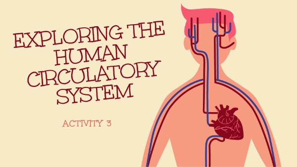 CIRCULATORY SYSTEM
