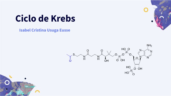 Ciclo de Krebs | Genially