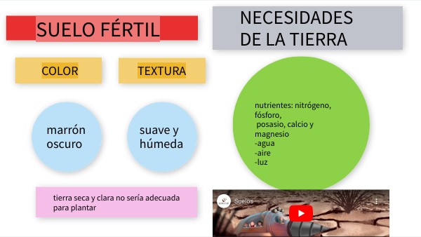 Copia - MAPA MENTAL ESQUEMA VERTICAL