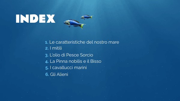 OCEAN PRESENTATION II