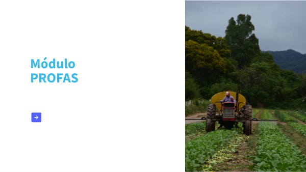 MÓDULO DIDÁCTICO BÁSICO - PROFAS | Genially