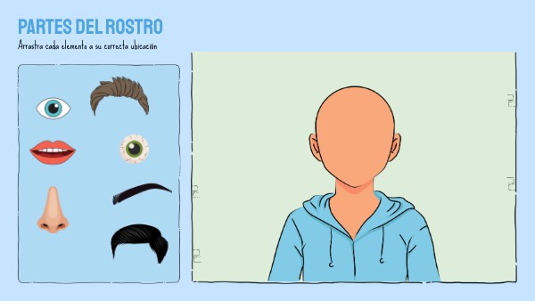 Partes del rostro