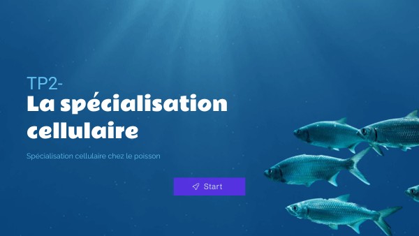 Spécialisation_cellulaire_GabrielGombert2de&