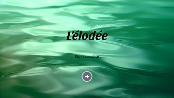 élodée_Gabriel_Loriant-2de1 | Genially