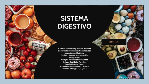 Sistema Digestivo | Genially