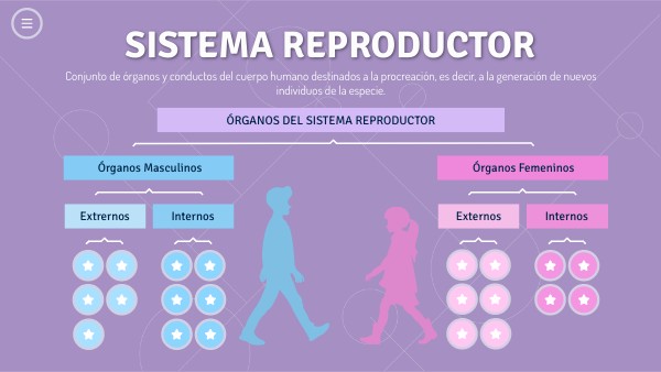 MAPA CONCEPTUAL SISTEMA REPRODUCTOR | Genially