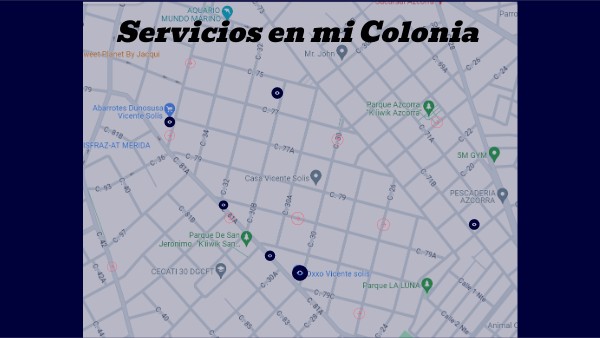 Los Servicios en mi Colonia