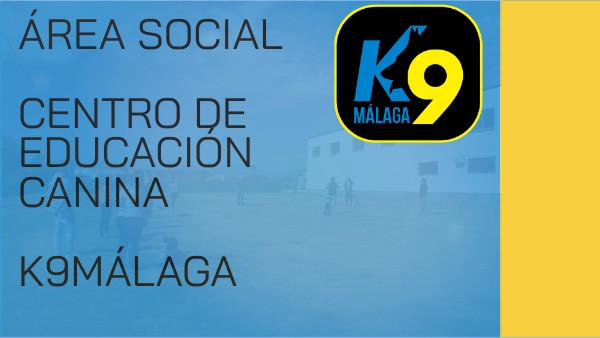 Briefing k9 Social | Genially