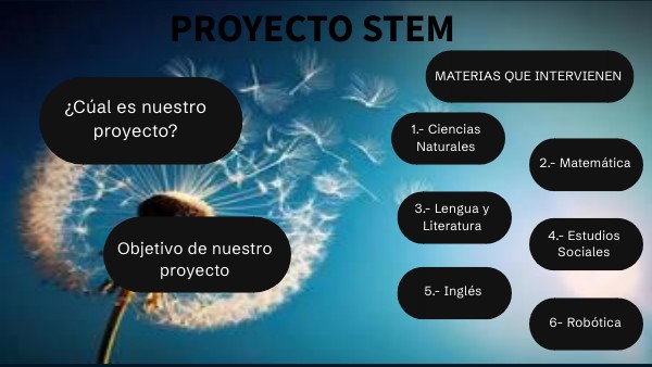 7mo - Proyecto STEAM - Presentación | Genially