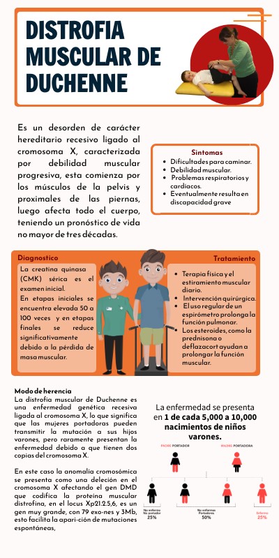 Distrofia muscular de Duchenne | Genially
