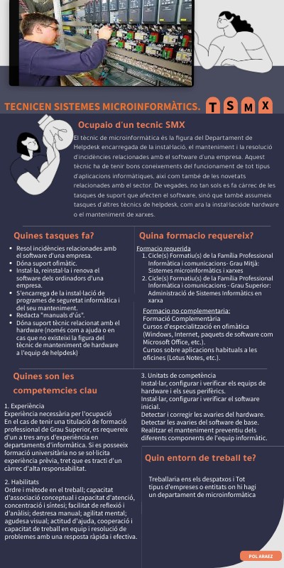 Infografia tsmx