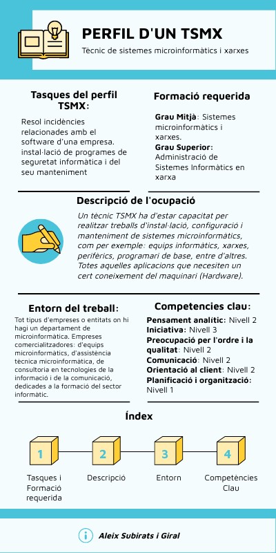 INFOGRAFIA PERFIL D'UN TSMX | Genially