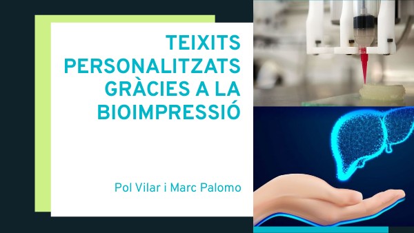 Teixits bioimpressió