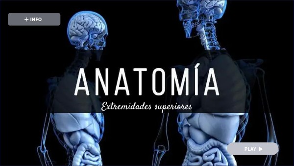 Anatomía (extremidades superiores). | Genially