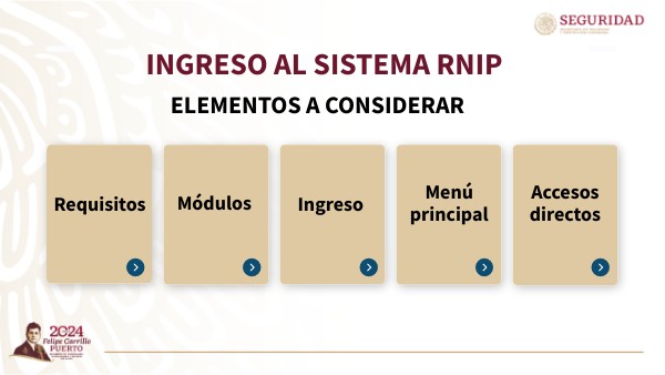 Ingreso al Sistema RNIP | Genially