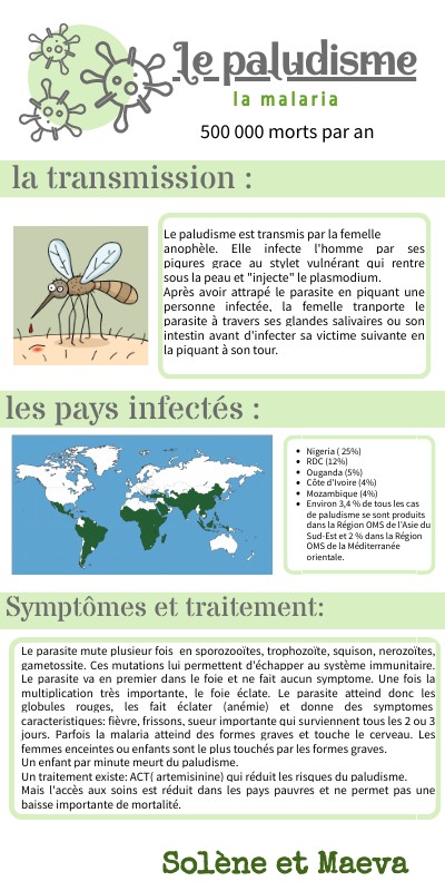 le paludisme