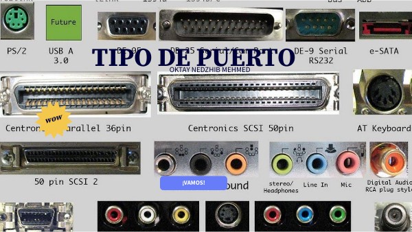 TIPOS DE PUERTOS | Genially