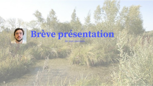 BASIC PRESENTATION