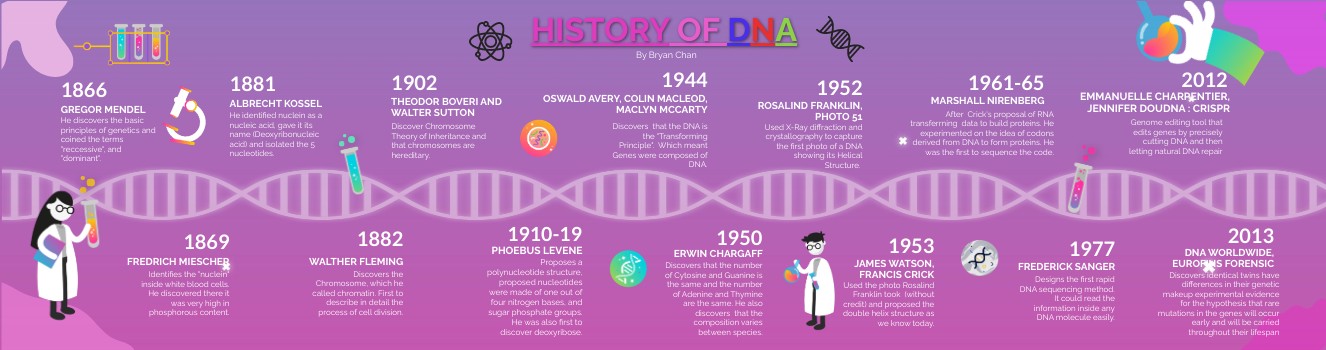 HISTORY OF DNA | Genially