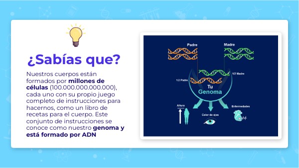 Sabias que | Genially