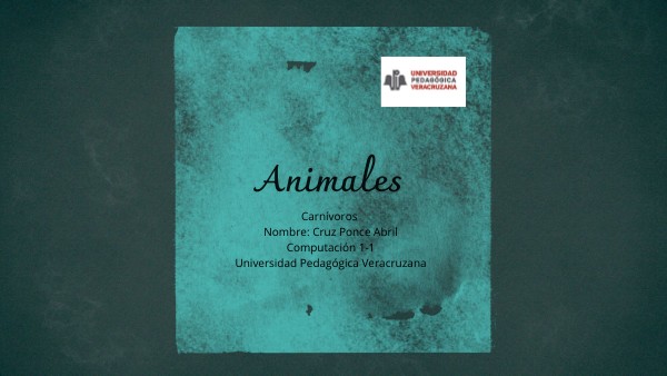 Animales carnívoros | Genially