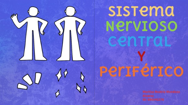 SNC y SNP | Genially