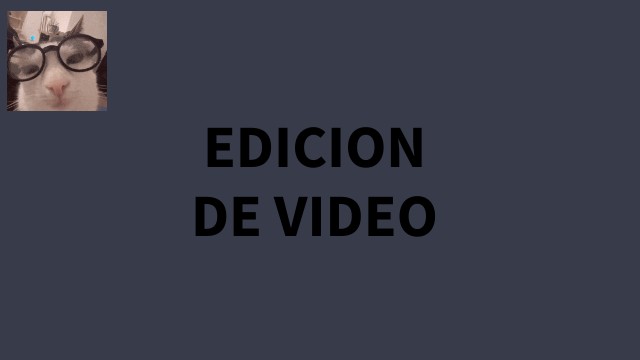 Video palabras