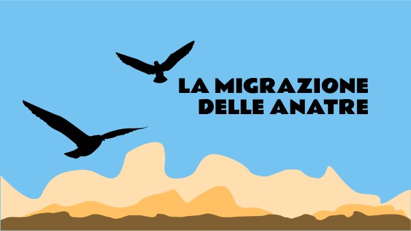 La migrazione delle anatre