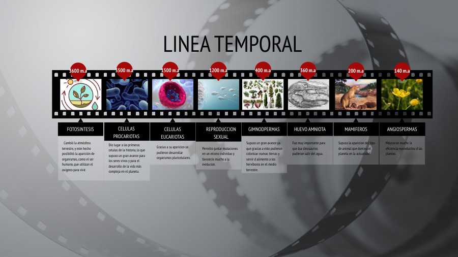 Linea temporal | Genially