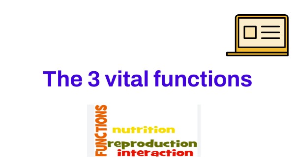 The 3 vital functions
