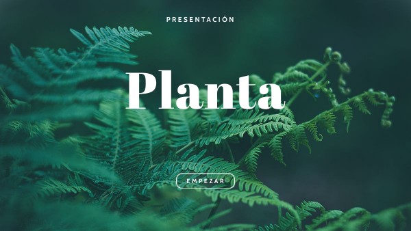 PRESENTACIÓN DE LA FLOR DEL PATUJU terminando | Genially