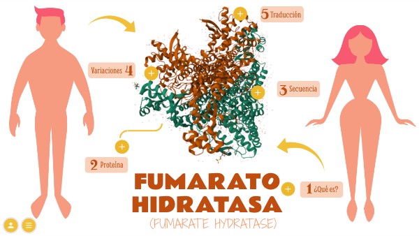 FUMARATO HIDRATASA | Genially