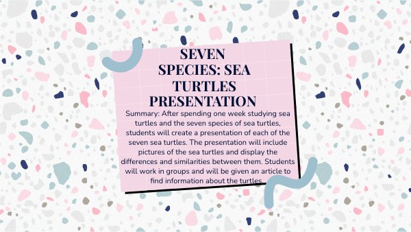 SEA TURTLES PRESENTATION PLAN