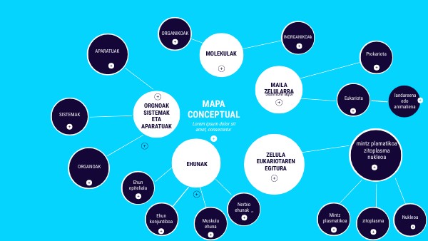 MAPA CONCEPTUAL CIRCULAR | Genially