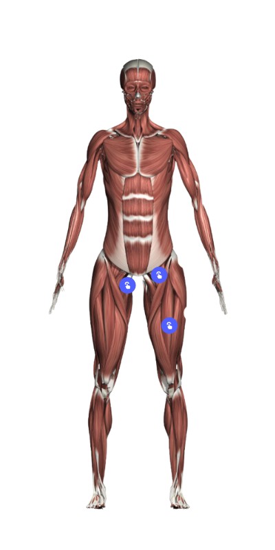 Exercices d'échauffement | Genially