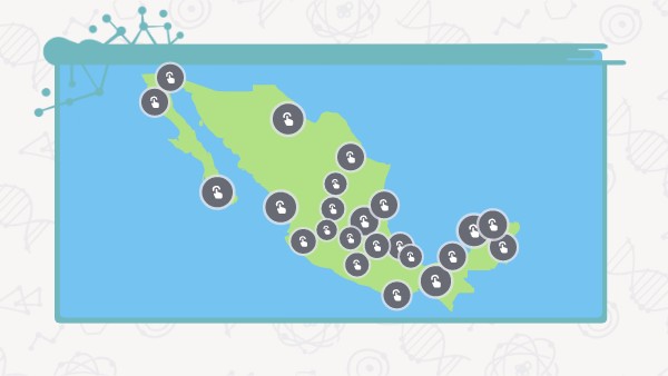 Estaciones RGNA | Genially