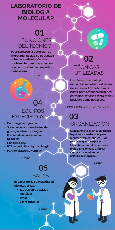 INFOGRAFÍA BIOLOGÍA MOLECULAR | Genially