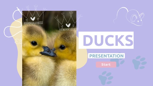 KITTENS PRESENTATION