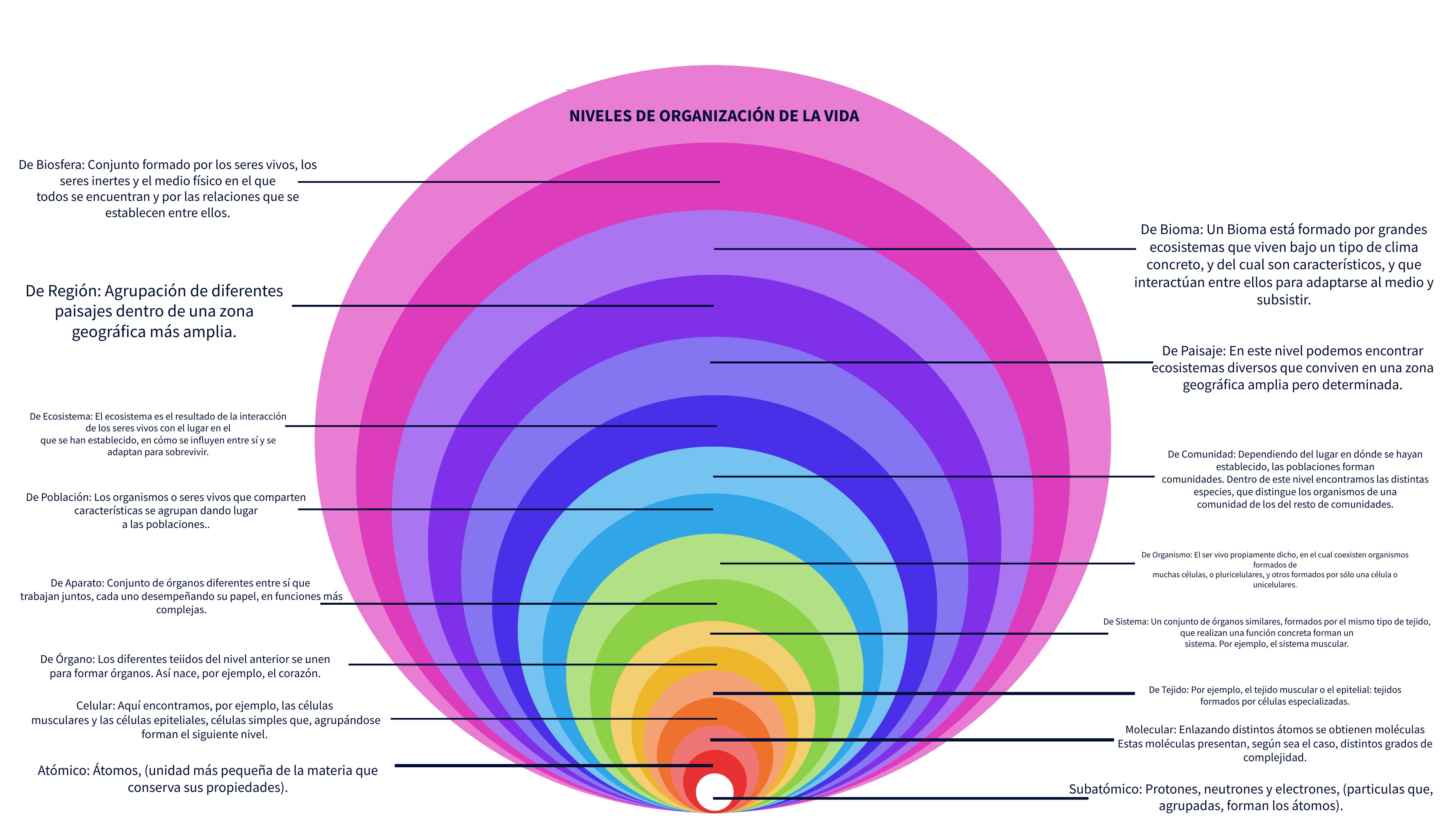 Diagrama cebolla | Genially